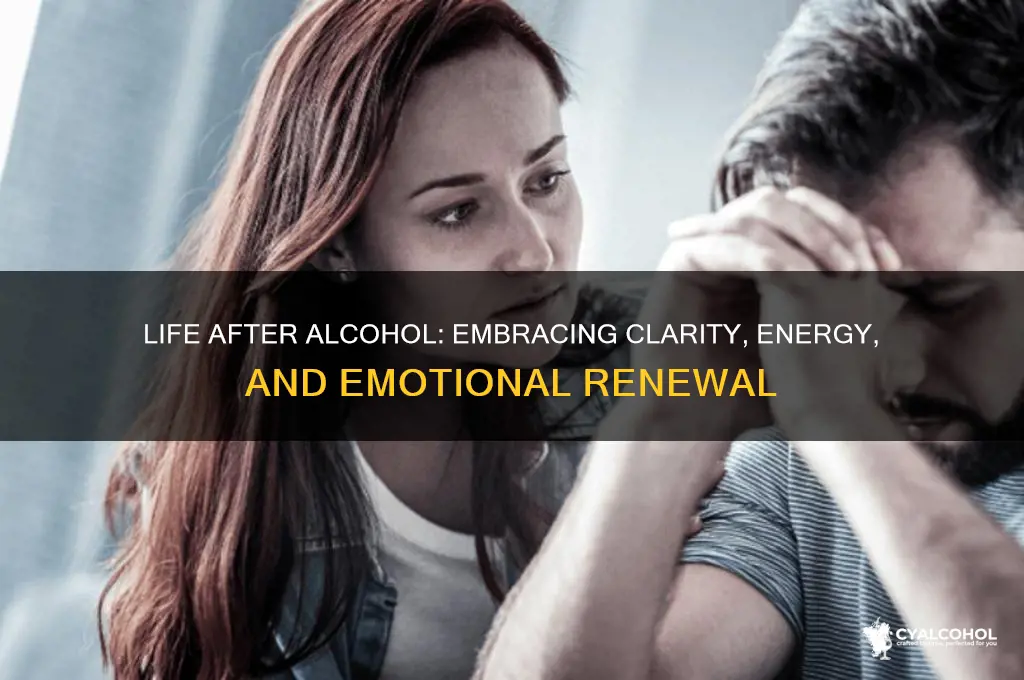 Life After Alcohol: Embracing Clarity, Energy, And Emotional Renewal ...