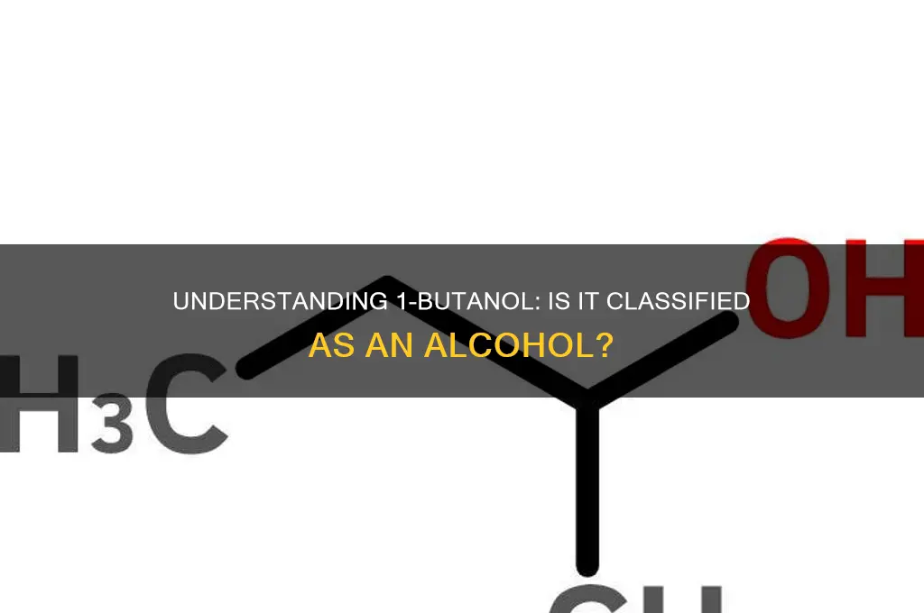 Understanding 1-Butanol: Is It Classified As An Alcohol? | CyAlcohol
