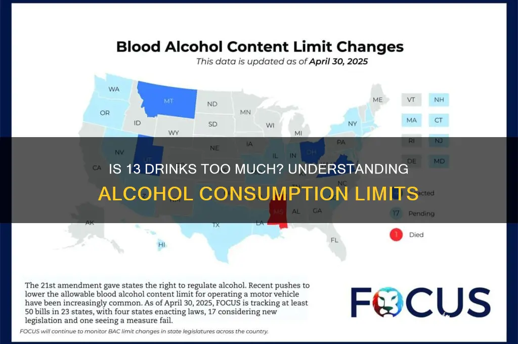 Is 13 Drinks Too Much? Understanding Alcohol Consumption Limits | CyAlcohol