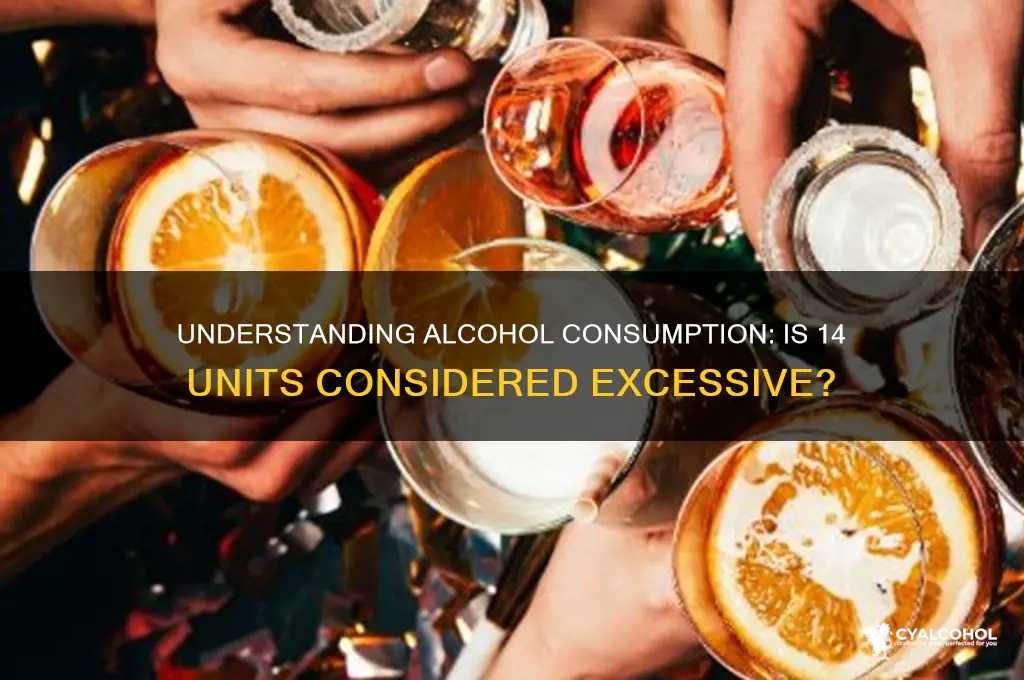 Understanding Alcohol Consumption: Is 14 Units Considered Excessive ...