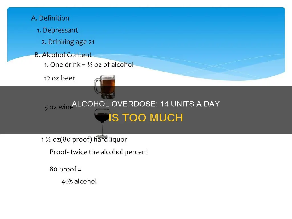 Alcohol Overdose: 14 Units A Day Is Too Much | CyAlcohol
