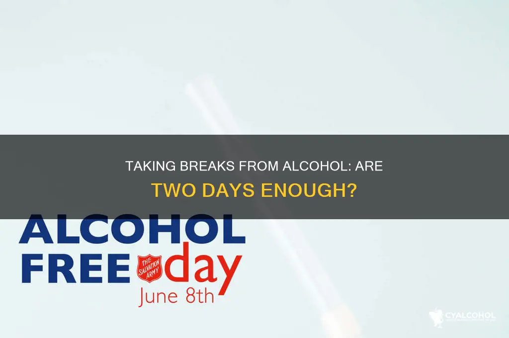Taking Breaks From Alcohol: Are Two Days Enough? | CyAlcohol