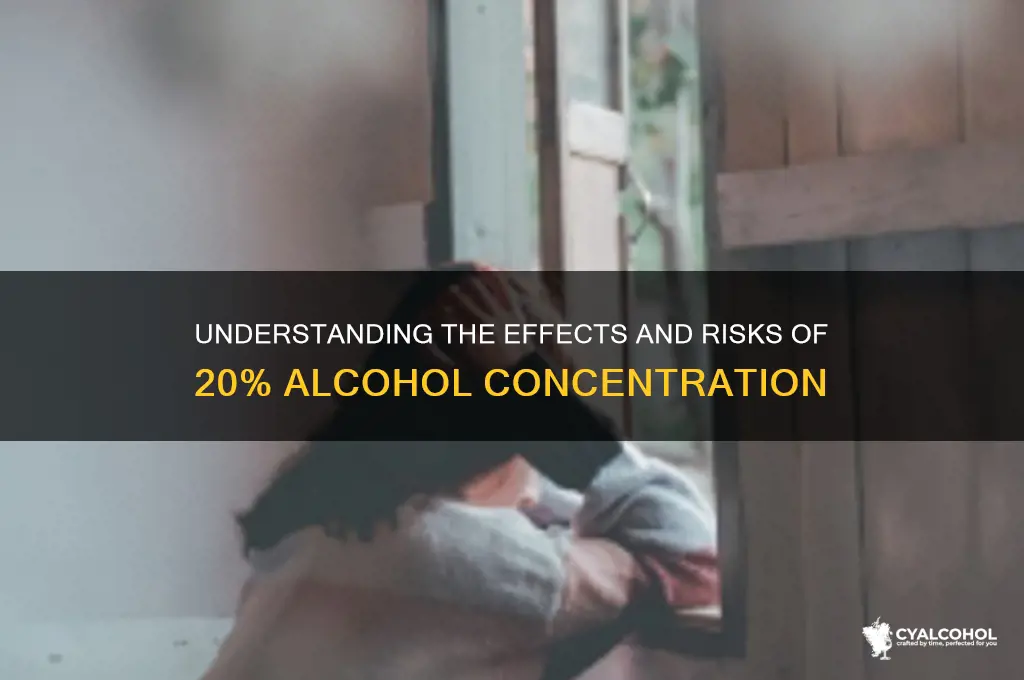 Understanding The Effects And Risks Of 20% Alcohol Concentration ...