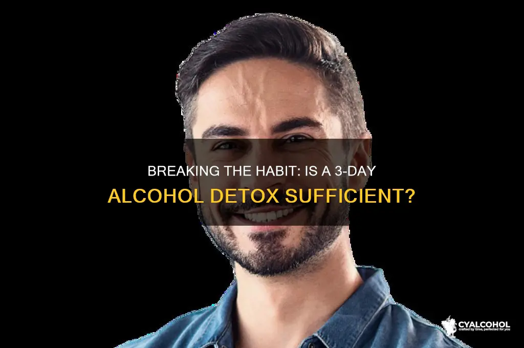 Breaking The Habit: Is A 3-Day Alcohol Detox Sufficient? | CyAlcohol
