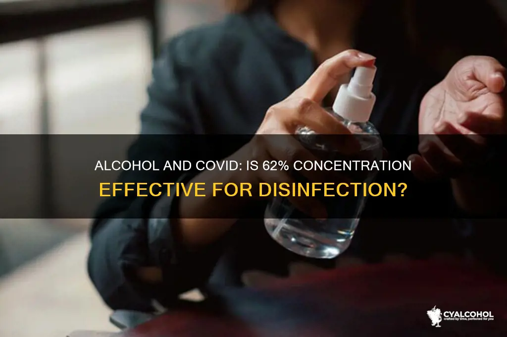 Alcohol And Covid: Is 62% Concentration Effective For Disinfection ...