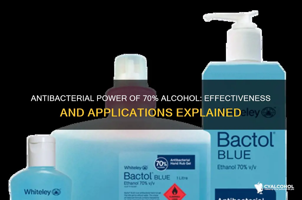 Antibacterial Power Of 70% Alcohol: Effectiveness And Applications ...