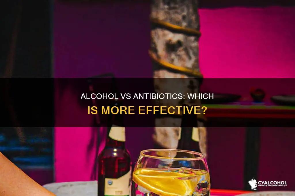 Alcohol Vs Antibiotics: Which Is More Effective? | CyAlcohol