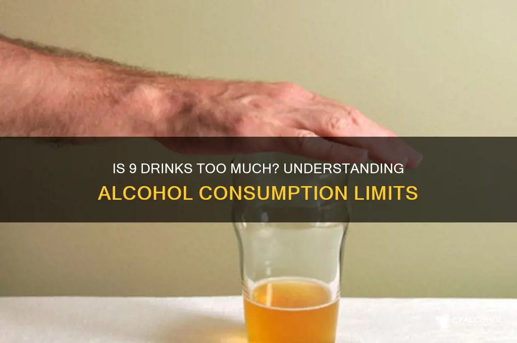 Is 9 Drinks Too Much? Understanding Alcohol Consumption Limits | CyAlcohol