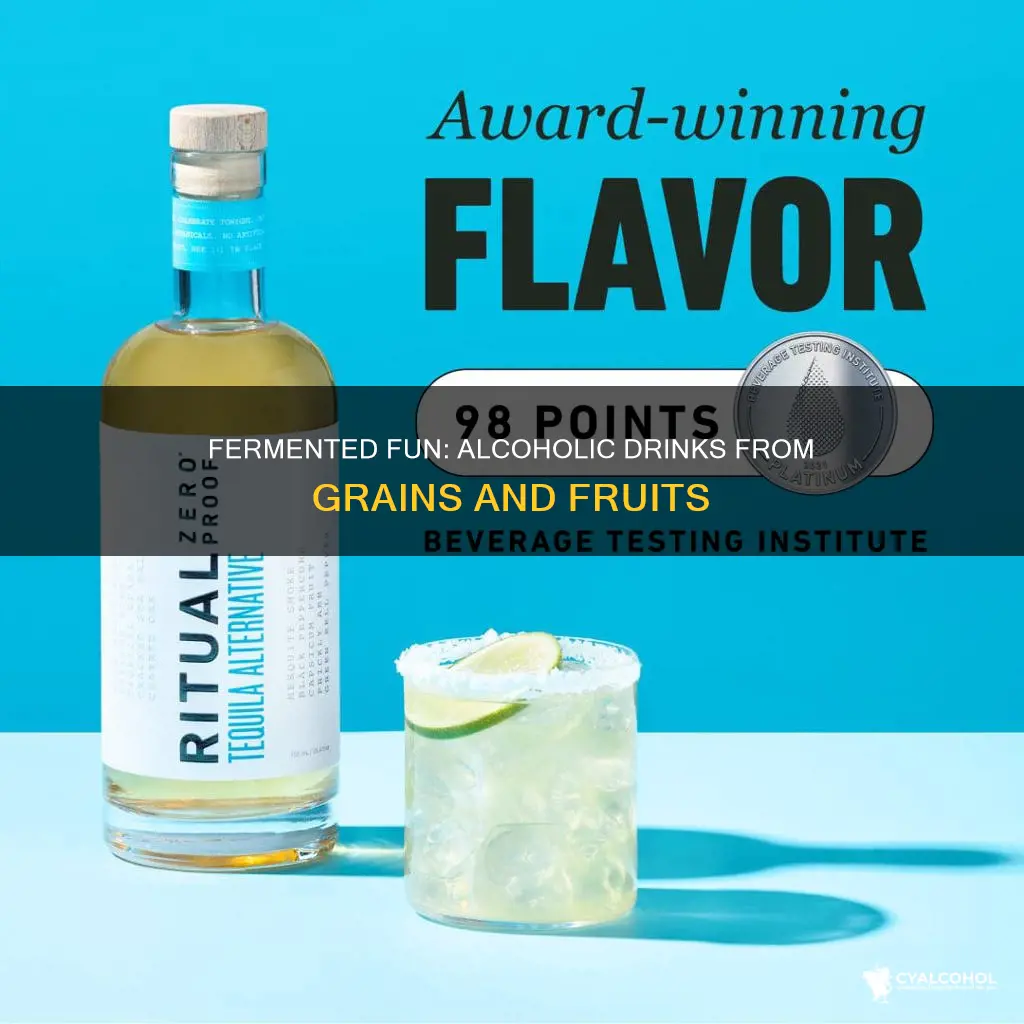 Fermented Fun: Alcoholic Drinks From Grains And Fruits | CyAlcohol