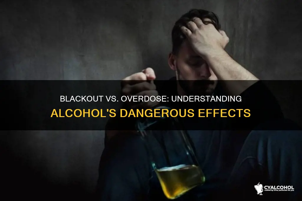 Blackout Vs. Overdose: Understanding Alcohol's Dangerous Effects ...