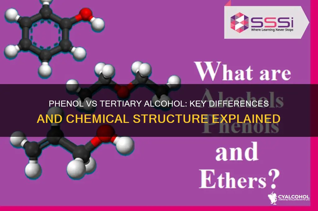 Phenol Vs Tertiary Alcohol: Key Differences And Chemical Structure ...