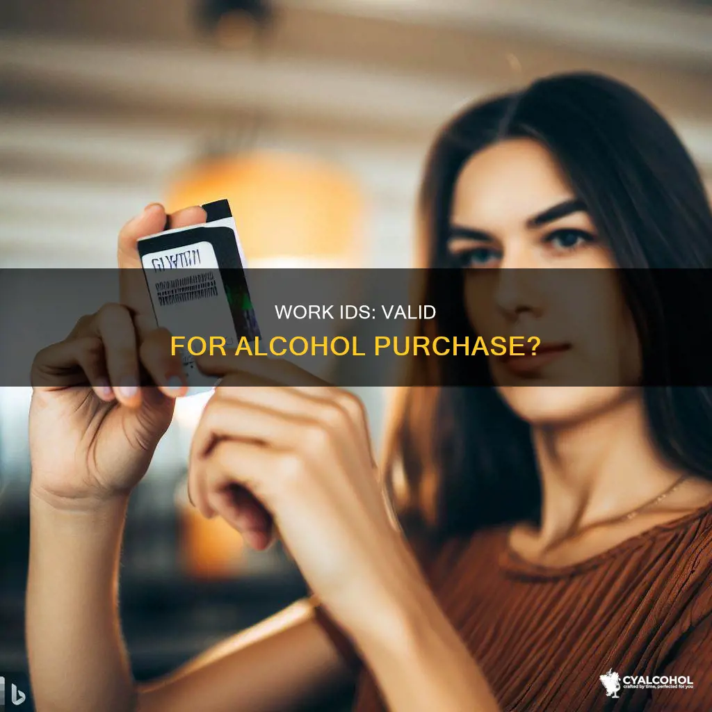 Work Ids: Valid For Alcohol Purchase? | CyAlcohol