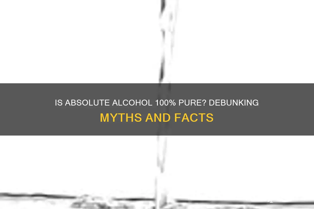 Is Absolute Alcohol 100% Pure? Debunking Myths And Facts | CyAlcohol