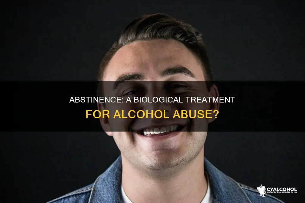 Abstinence: A Biological Treatment For Alcohol Abuse? | CyAlcohol
