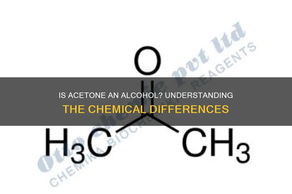Is Acetone An Alcohol? Understanding The Chemical Differences | CyAlcohol