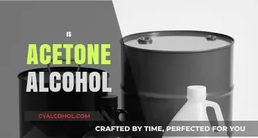 Understanding Alcoholic Gastritis: Causes, Symptoms, And Treatment ...