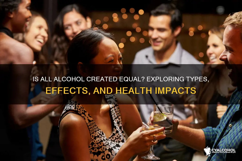 Is All Alcohol Created Equal? Exploring Types, Effects, And Health ...