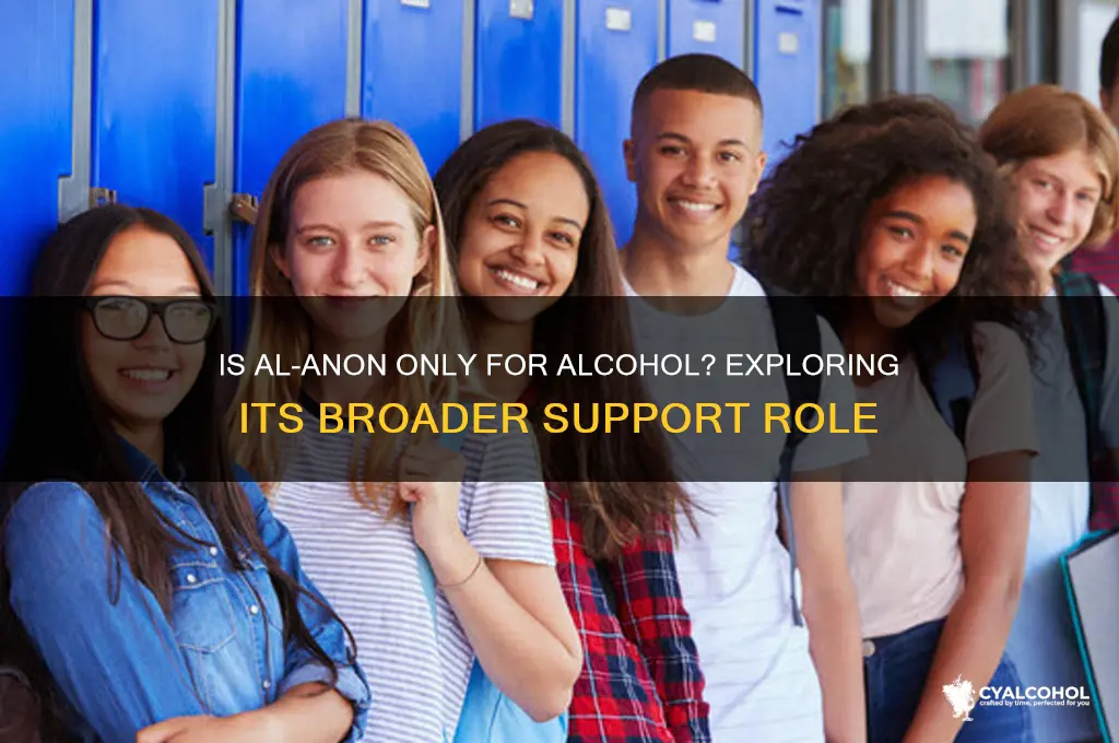 Is Al-Anon Only For Alcohol? Exploring Its Broader Support Role | CyAlcohol
