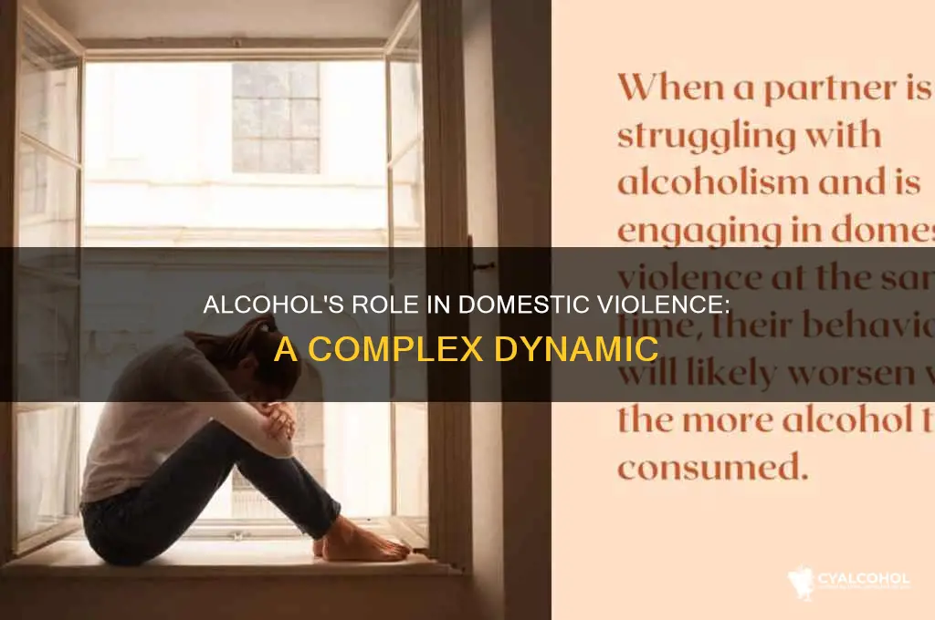 Alcohol's Role In Domestic Violence: A Complex Dynamic | CyAlcohol