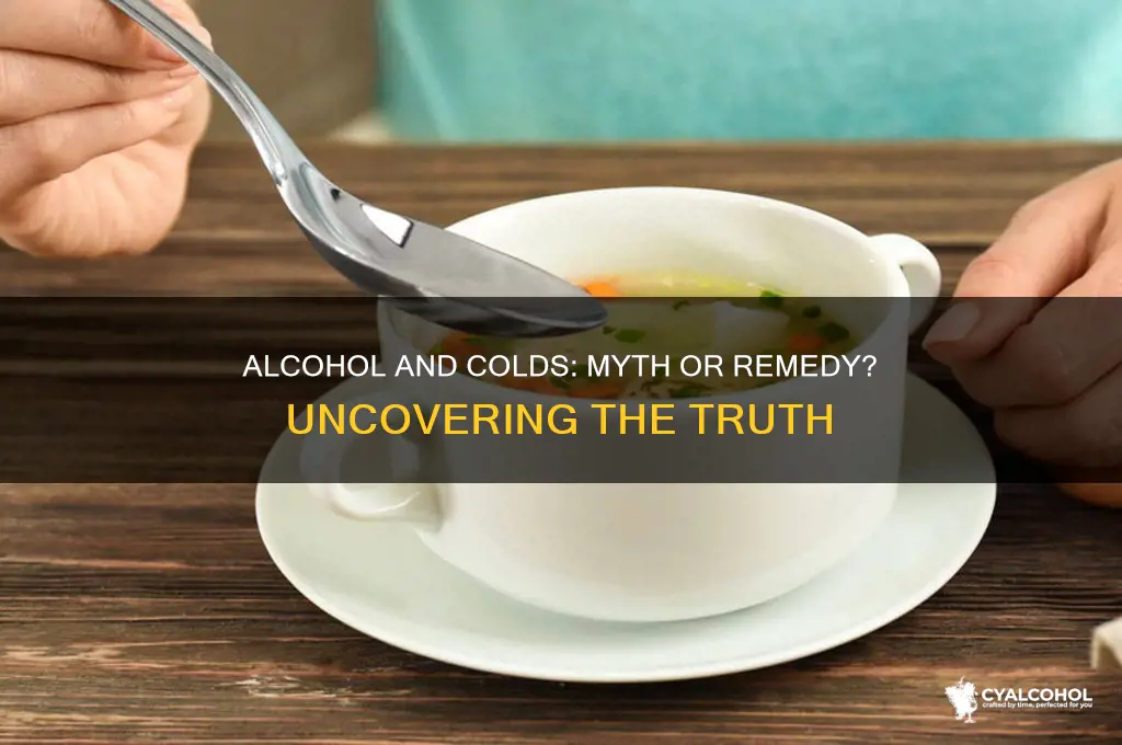 Alcohol And Colds: Myth Or Remedy? Uncovering The Truth | CyAlcohol