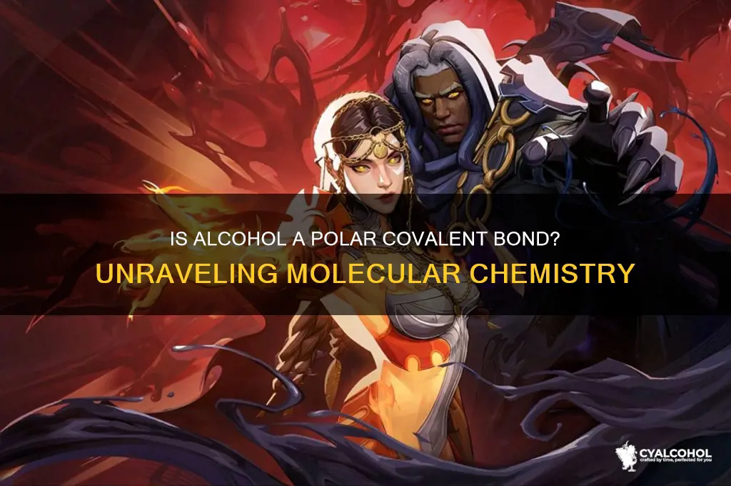 Is Alcohol A Polar Covalent Bond? Unraveling Molecular Chemistry ...