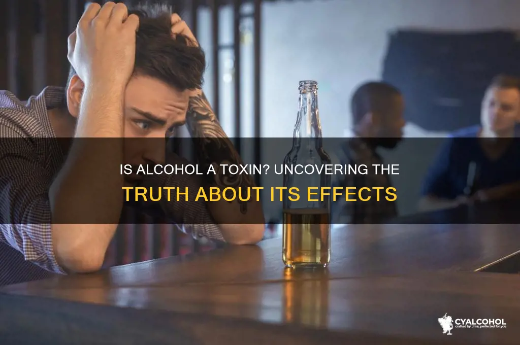 Is Alcohol A Toxin? Uncovering The Truth About Its Effects | CyAlcohol
