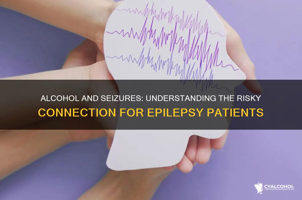 Alcohol And Seizures: Understanding The Risky Connection For Epilepsy ...