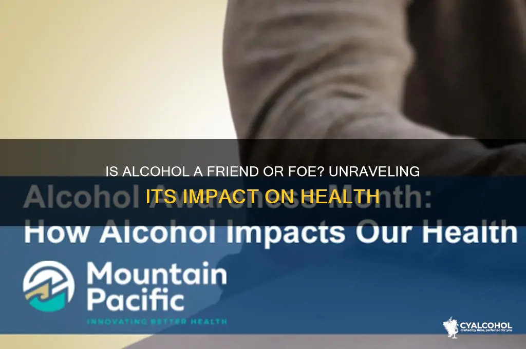 Is Alcohol A Friend Or Foe? Unraveling Its Impact On Health | CyAlcohol