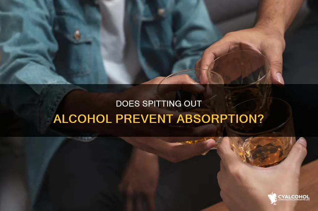 Does Spitting Out Alcohol Prevent Absorption? | CyAlcohol