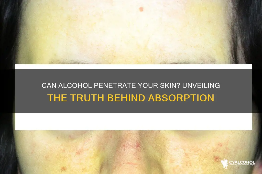Can Alcohol Penetrate Your Skin? Unveiling The Truth Behind Absorption ...