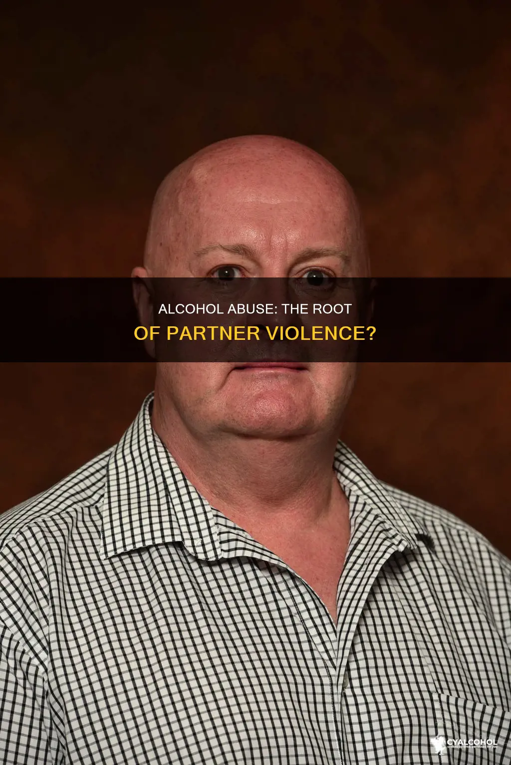 Alcohol Abuse: The Root Of Partner Violence? | CyAlcohol