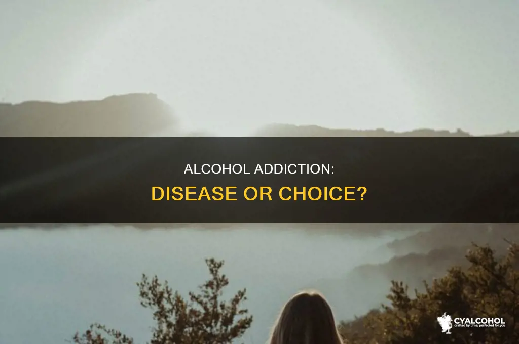 Alcohol Addiction: Disease Or Choice? | CyAlcohol