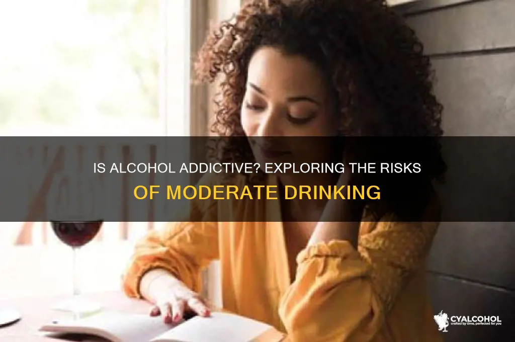 Is Alcohol Addictive? Exploring The Risks Of Moderate Drinking | CyAlcohol