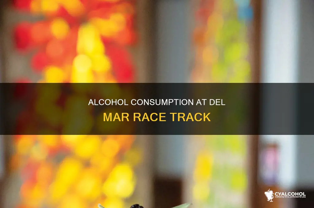 Alcohol Consumption At Del Mar Race Track | CyAlcohol
