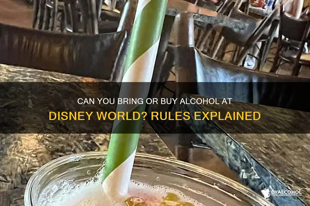 Can You Bring Or Buy Alcohol At Disney World? Rules Explained | CyAlcohol