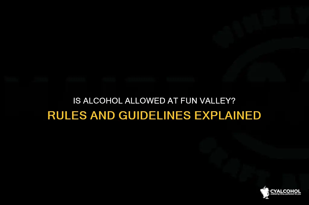 Is Alcohol Allowed At Fun Valley? Rules And Guidelines Explained ...