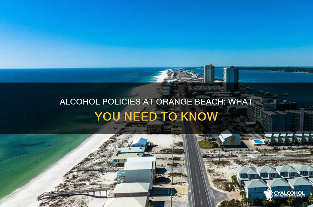 Alcohol Policies At Orange Beach: What You Need To Know | CyAlcohol