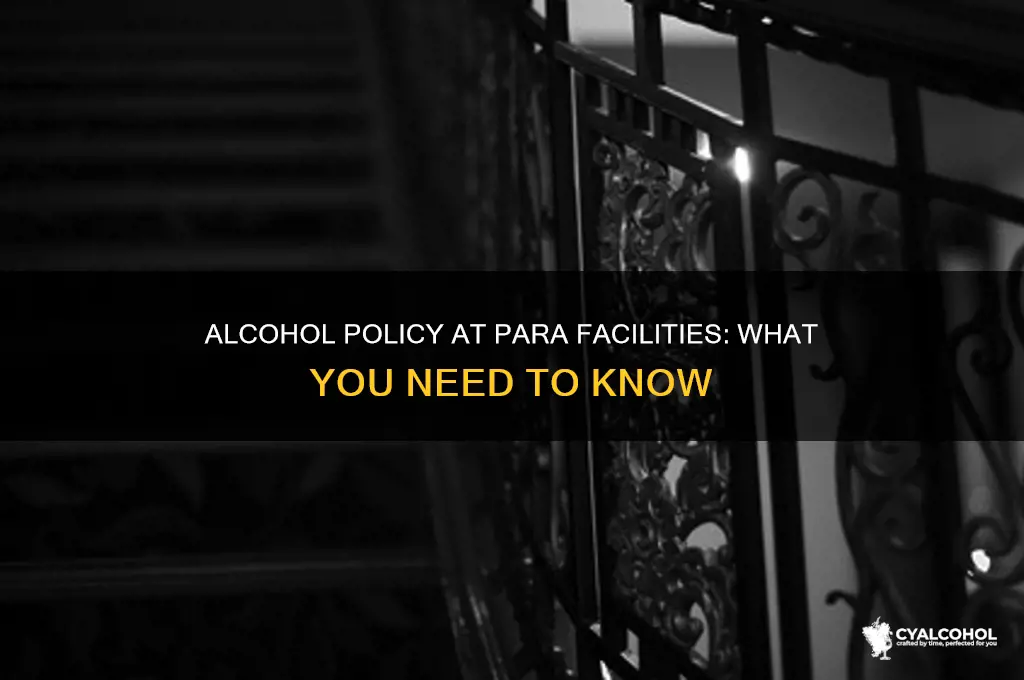 Alcohol Policy At Para Facilities: What You Need To Know | CyAlcohol