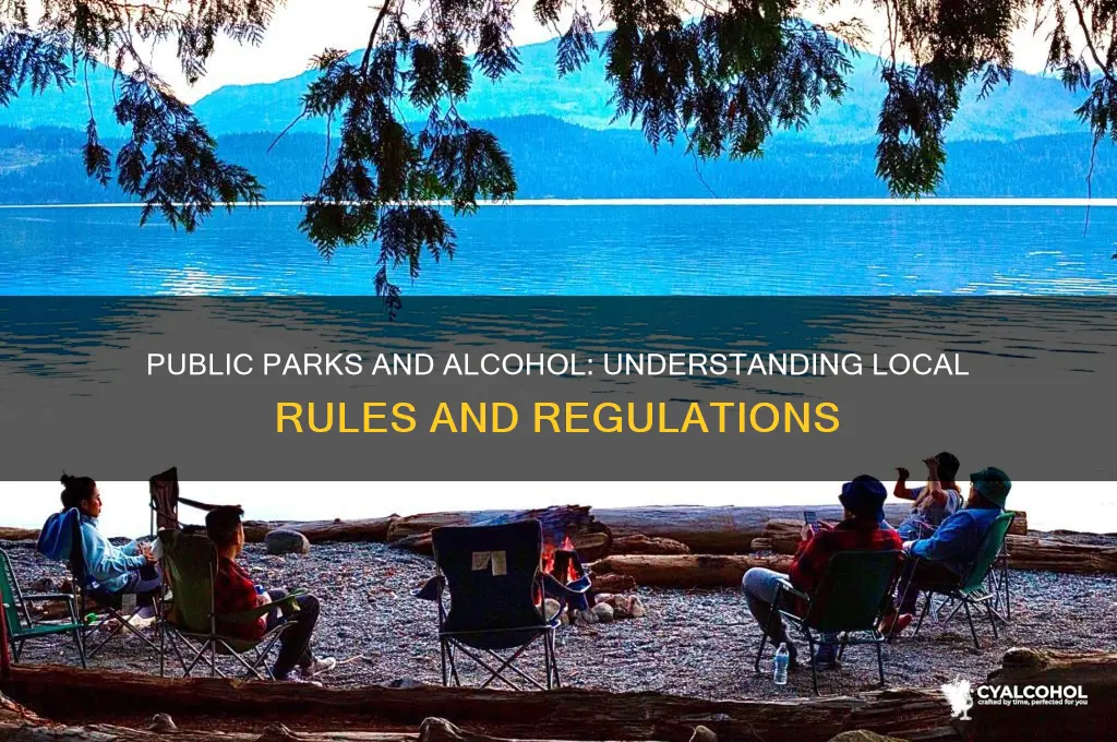 Public Parks And Alcohol: Understanding Local Rules And Regulations ...
