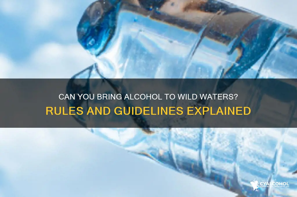 Can You Bring Alcohol To Wild Waters? Rules And Guidelines Explained ...