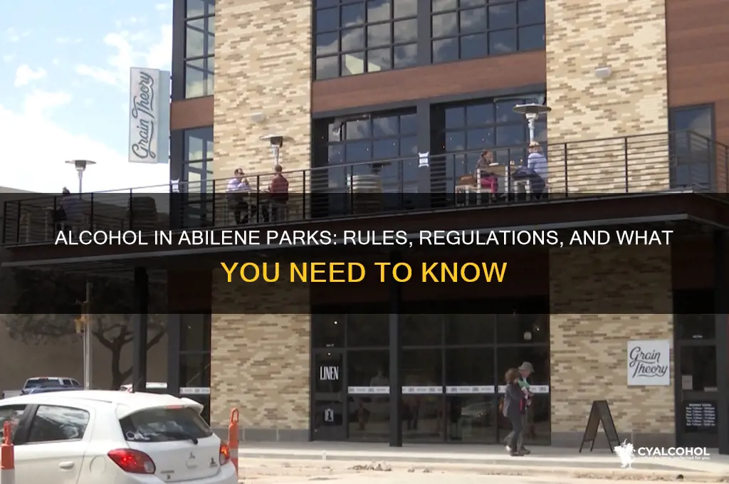 Alcohol In Abilene Parks: Rules, Regulations, And What You Need To Know ...
