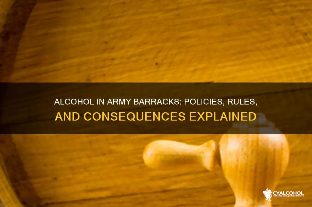 Alcohol In Army Barracks: Policies, Rules, And Consequences Explained ...