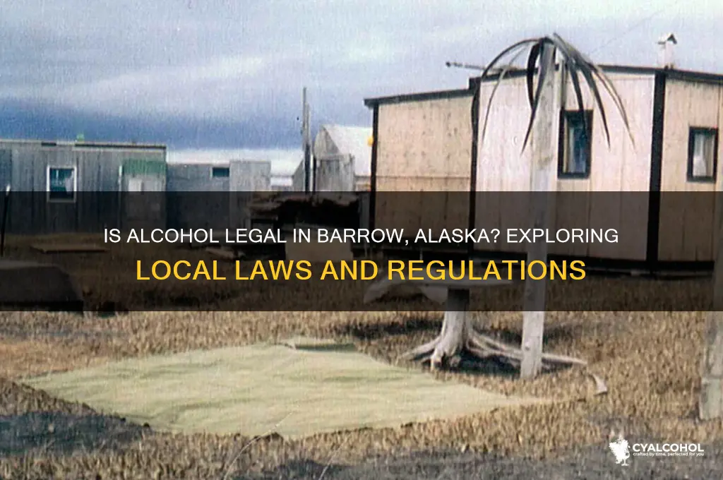 Is Alcohol Legal In Barrow, Alaska? Exploring Local Laws And ...
