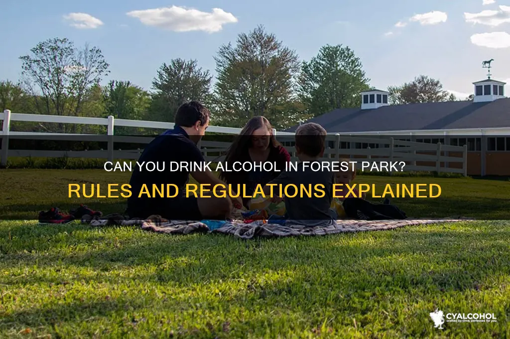 Can You Drink Alcohol In Forest Park? Rules And Regulations Explained ...