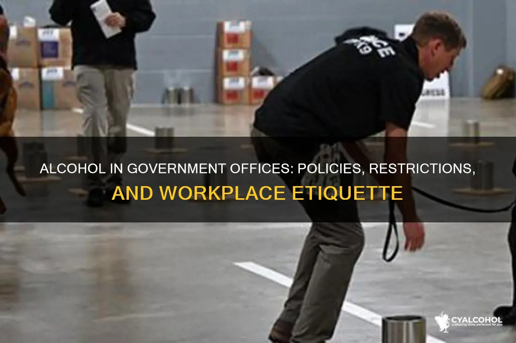 Alcohol In Government Offices: Policies, Restrictions, And Workplace ...