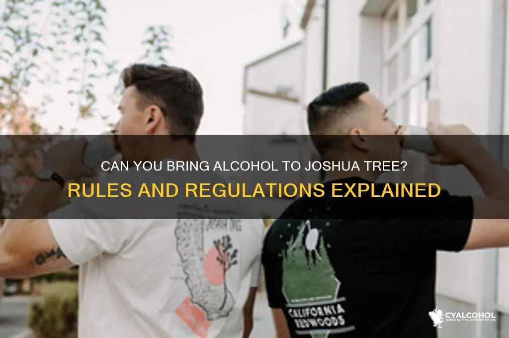 Can You Bring Alcohol To Joshua Tree? Rules And Regulations Explained ...