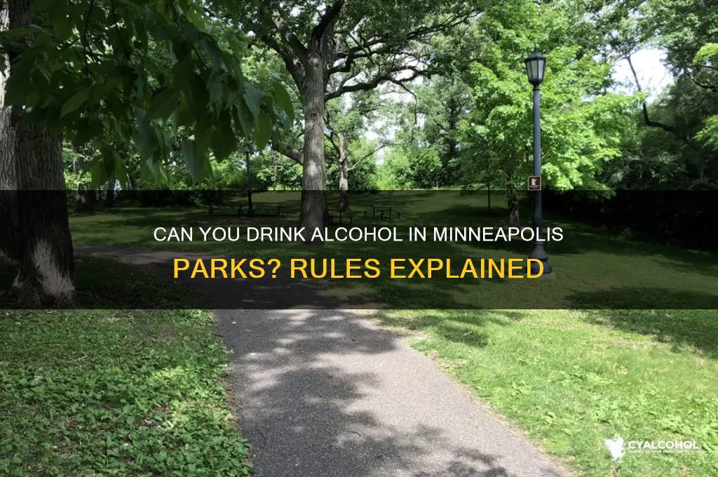 Can You Drink Alcohol In Minneapolis Parks? Rules Explained | CyAlcohol