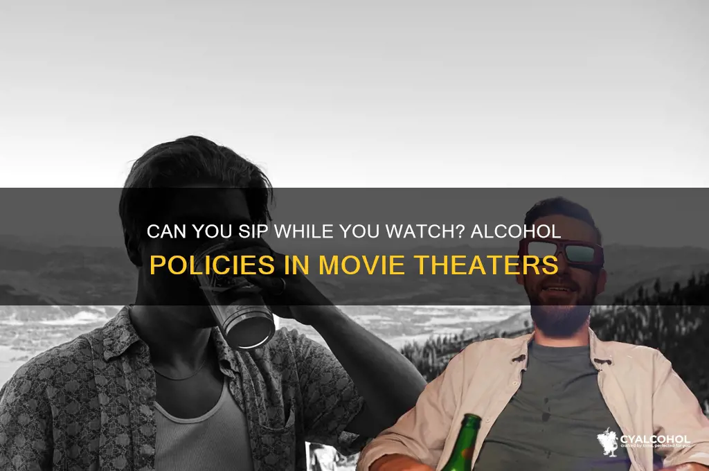 Can You Sip While You Watch? Alcohol Policies In Movie Theaters | CyAlcohol