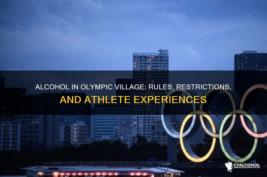 Alcohol In Olympic Village: Rules, Restrictions, And Athlete ...