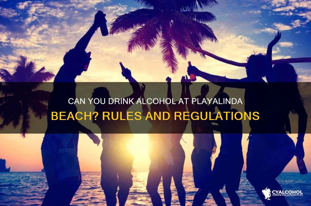 Can You Drink Alcohol At Playalinda Beach? Rules And Regulations ...